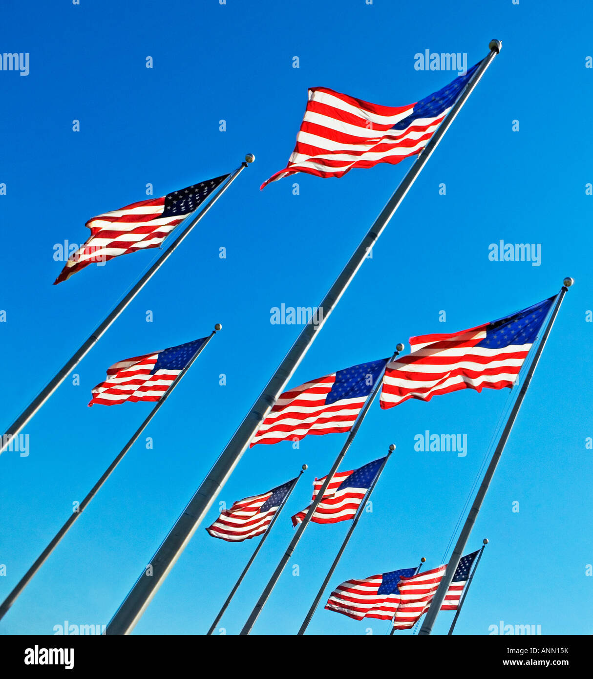 Bandiere nord americane immagini e fotografie stock ad alta risoluzione ...