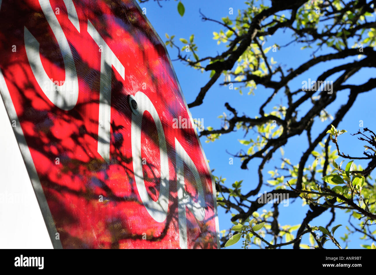 Segno della collina del telegrafo immagini e fotografie stock ad alta ...