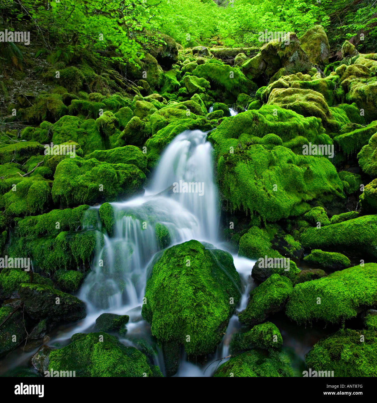 Waterfall Texture Immagini e Fotos Stock - Alamy