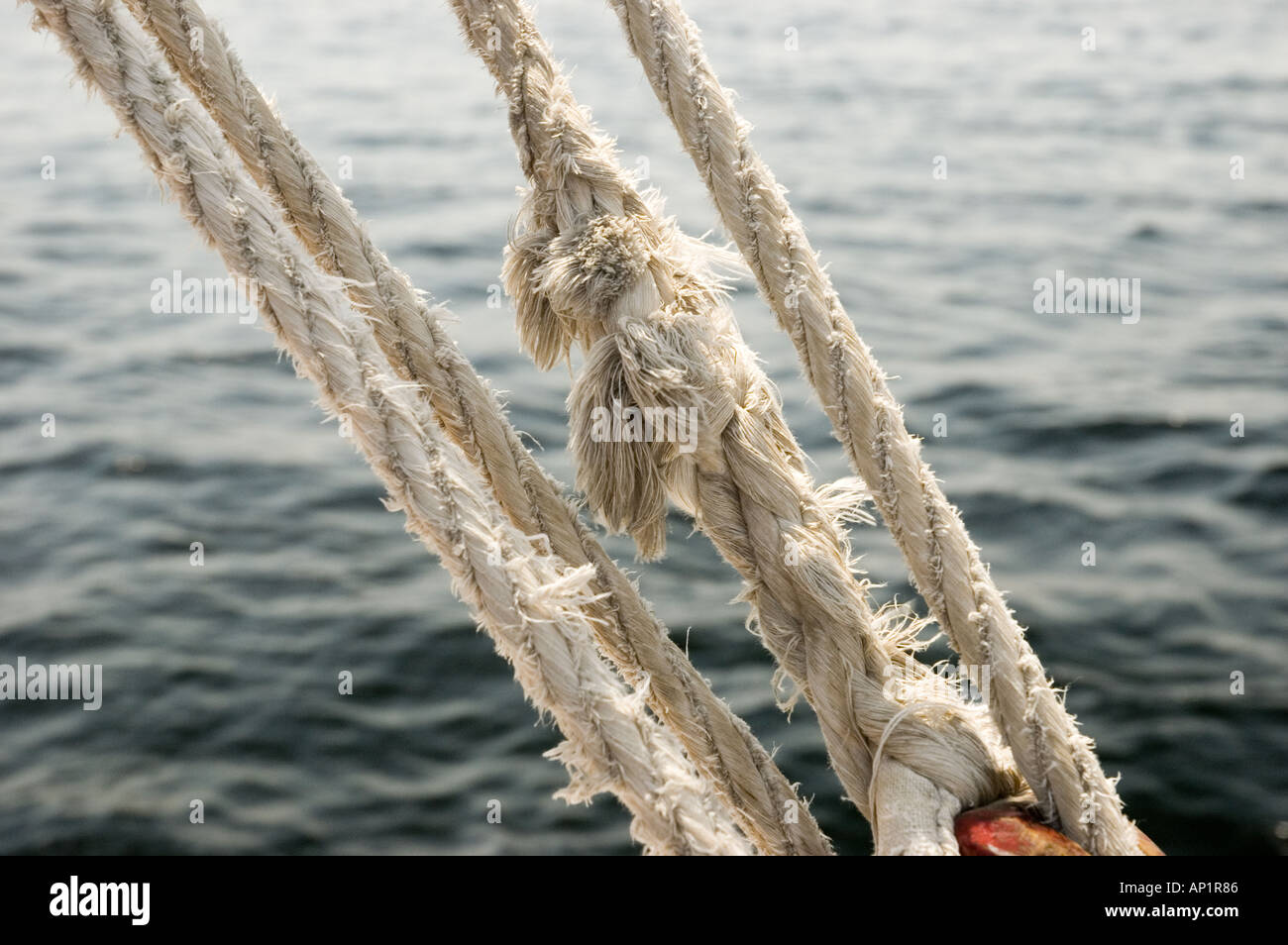 Antico viaggio in barca a vela feluca immagini e fotografie stock ad ...