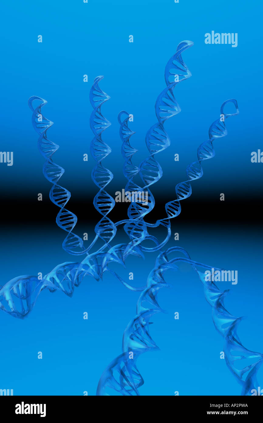 Micro rna immagini e fotografie stock ad alta risoluzione - Alamy