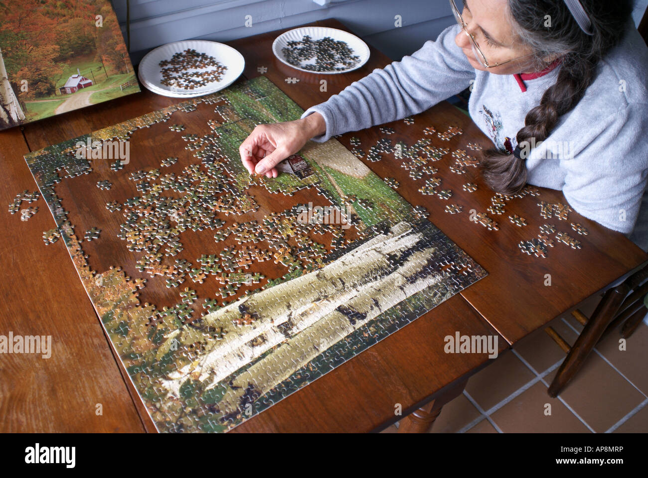 Picture puzzle immagini e fotografie stock ad alta risoluzione - Alamy