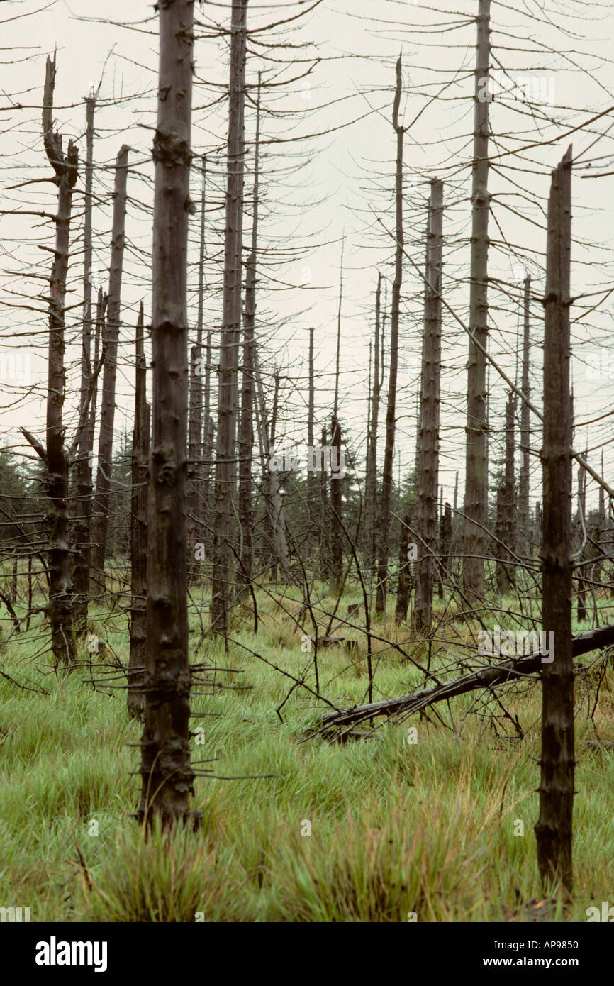 Pioggia acida immagini e fotografie stock ad alta risoluzione - Alamy