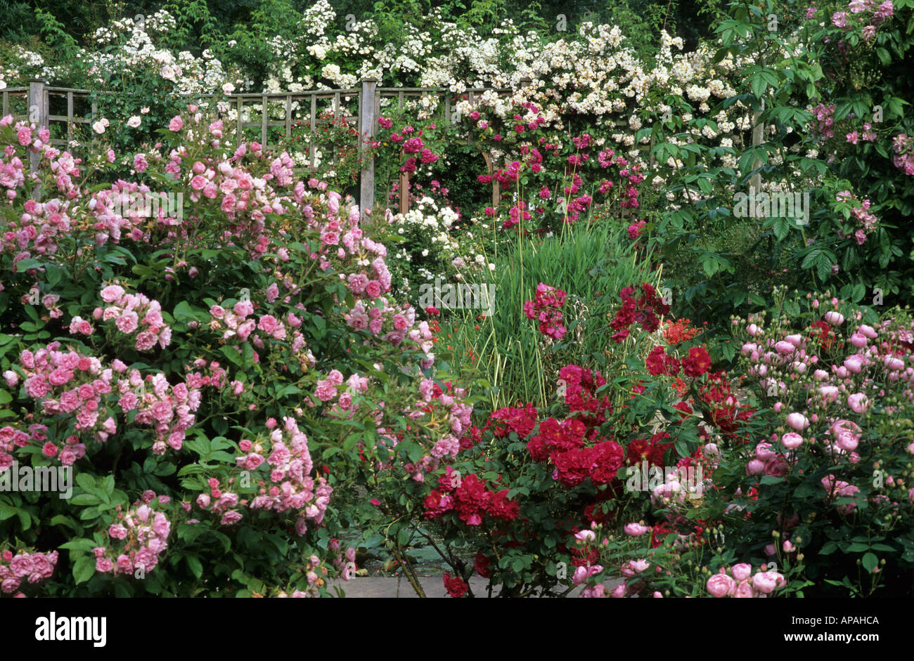 Mannington hall immagini e fotografie stock ad alta risoluzione - Alamy