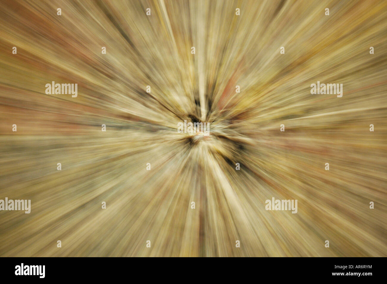 Jackson pollock immagini e fotografie stock ad alta risoluzione - Alamy