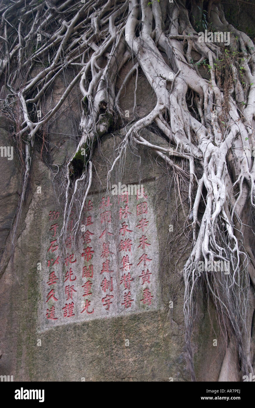 Yu shan immagini e fotografie stock ad alta risoluzione - Alamy