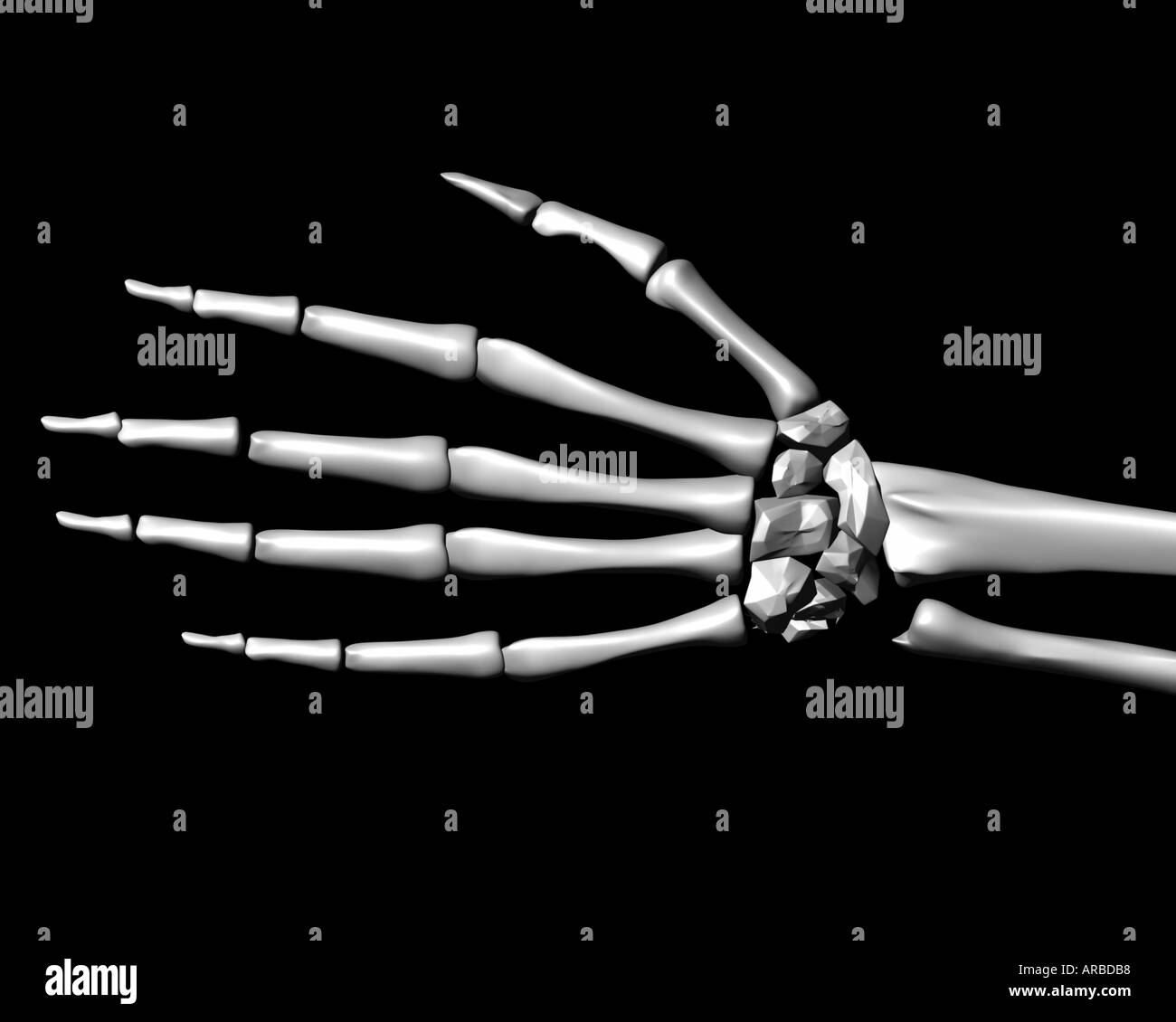 Mano scheletro immagini e fotografie stock ad alta risoluzione - Alamy