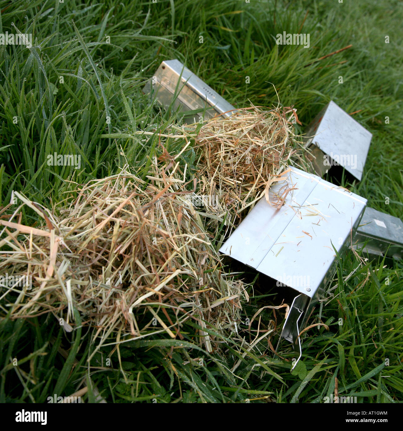 Sperimenta trappole immagini e fotografie stock ad alta risoluzione - Alamy