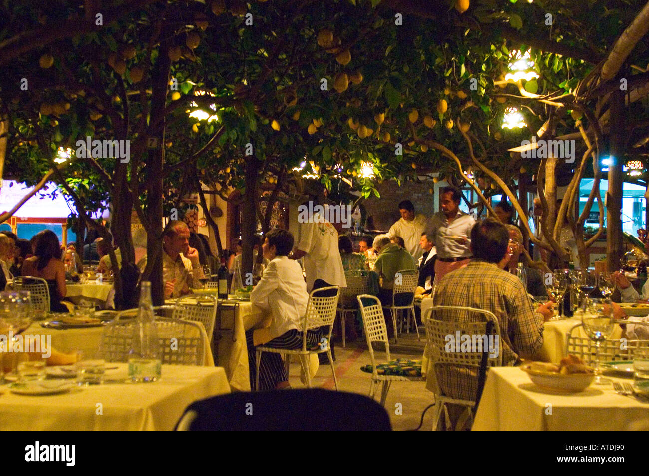 Il limoneto immagini e fotografie stock ad alta risoluzione - Alamy