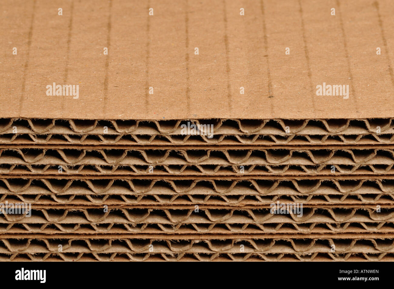 Fogli di cartone immagini e fotografie stock ad alta risoluzione - Alamy