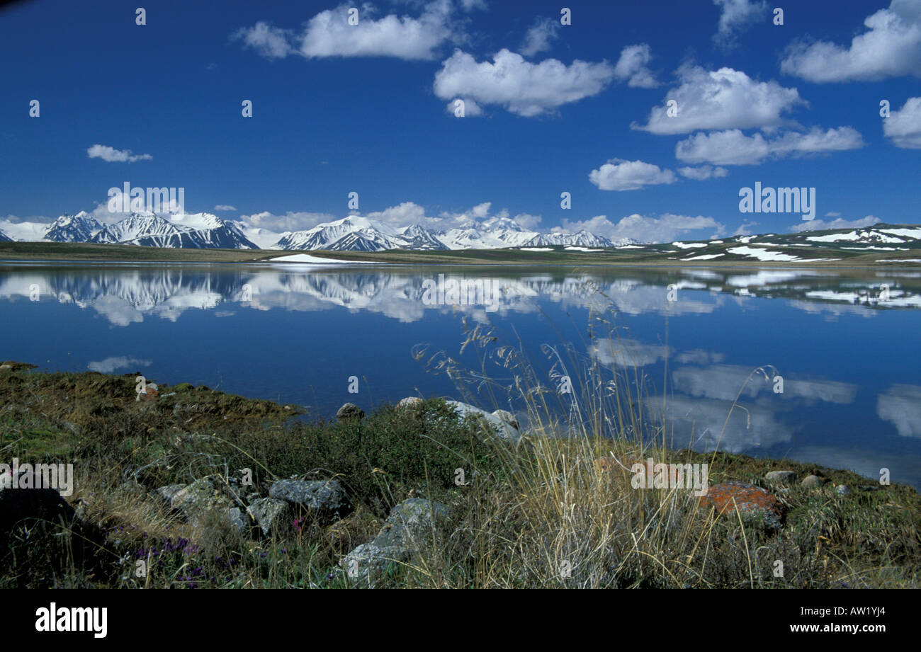 Ukok plateau immagini e fotografie stock ad alta risoluzione - Alamy