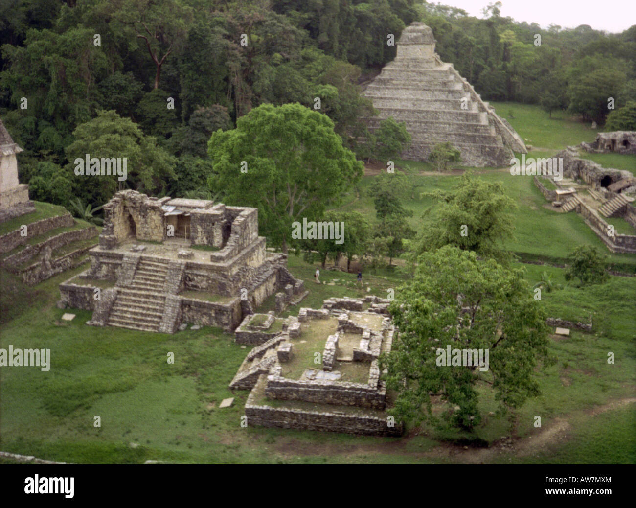Magnifico sito Maya piramidi città antica struttura di giungla ...