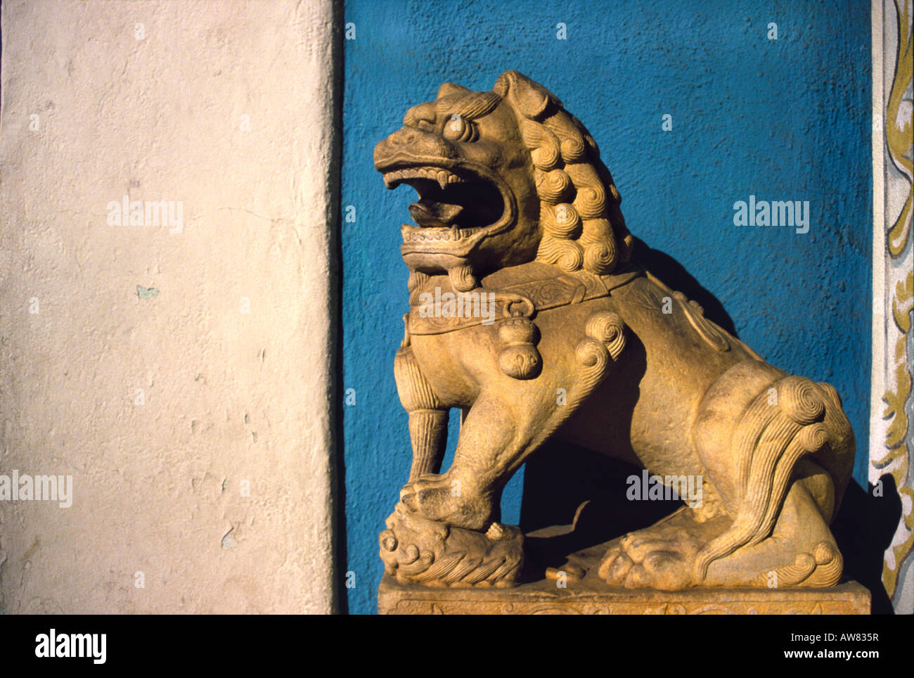 Cane imperiale immagini e fotografie stock ad alta risoluzione - Alamy