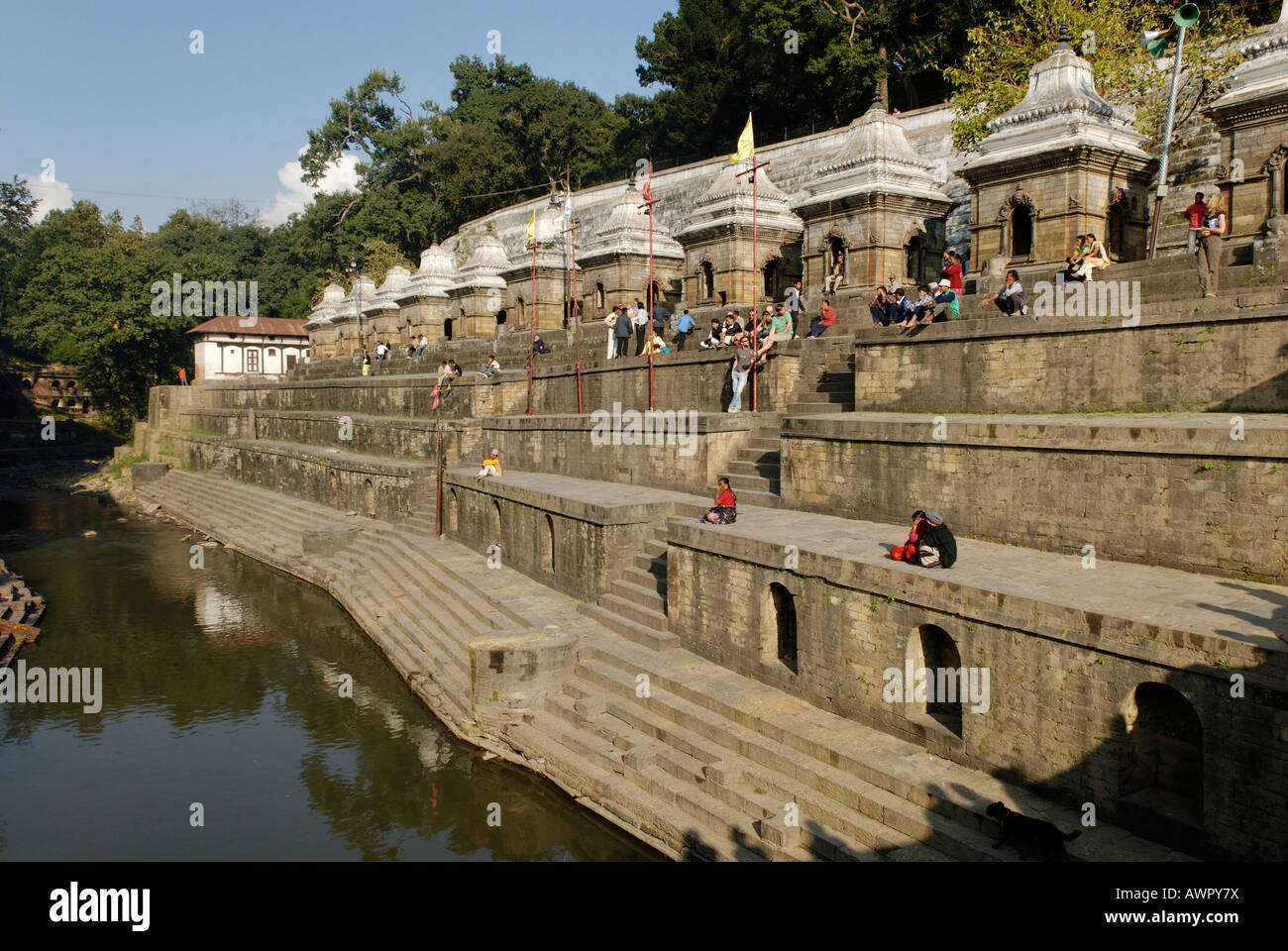 Cremazione ai ghat del tempio pashupatinath immagini e fotografie stock ...