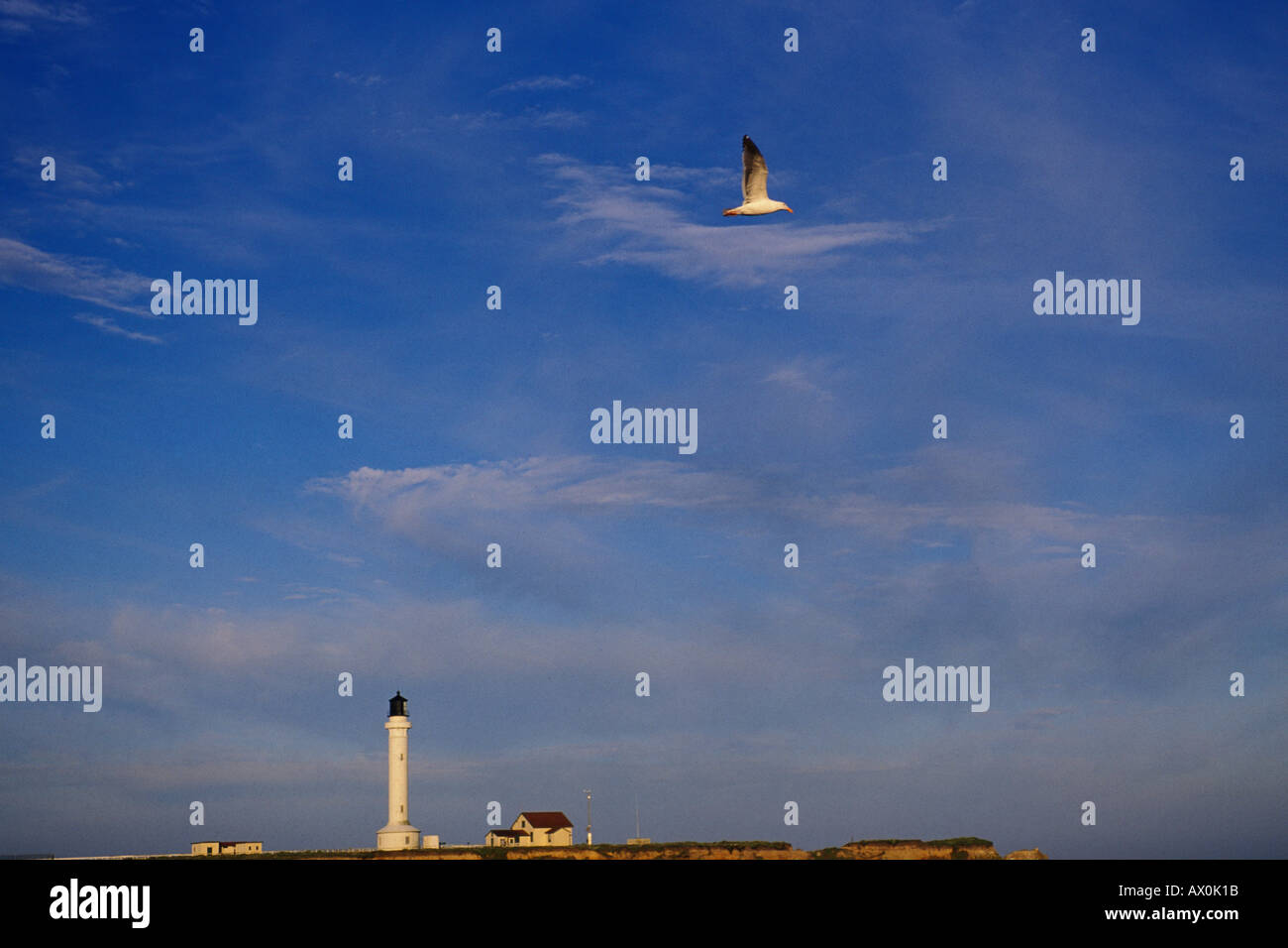 Punto arena casa leggera immagini e fotografie stock ad alta ...