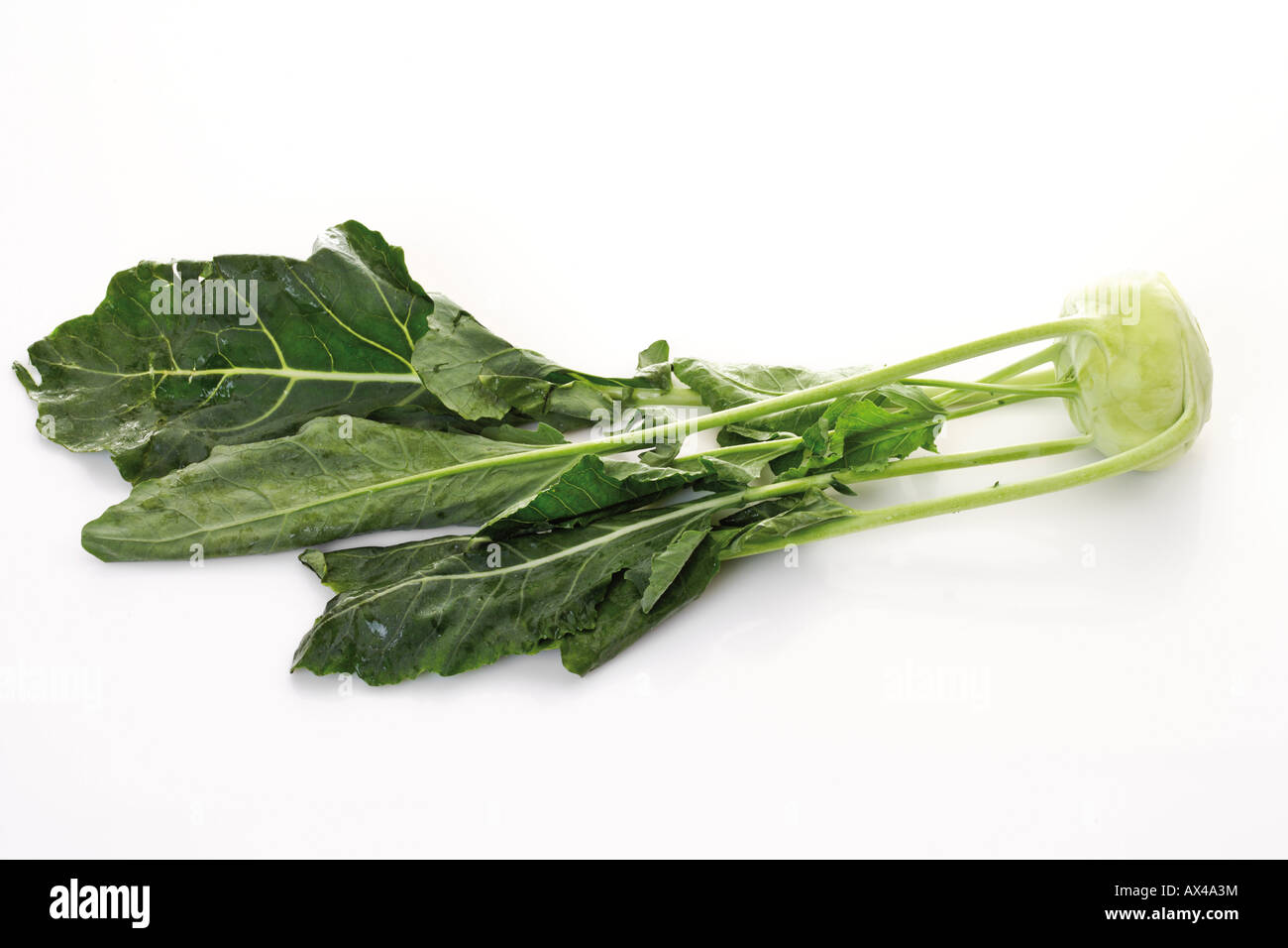 Cavolo rapa selvatico immagini e fotografie stock ad alta risoluzione ...