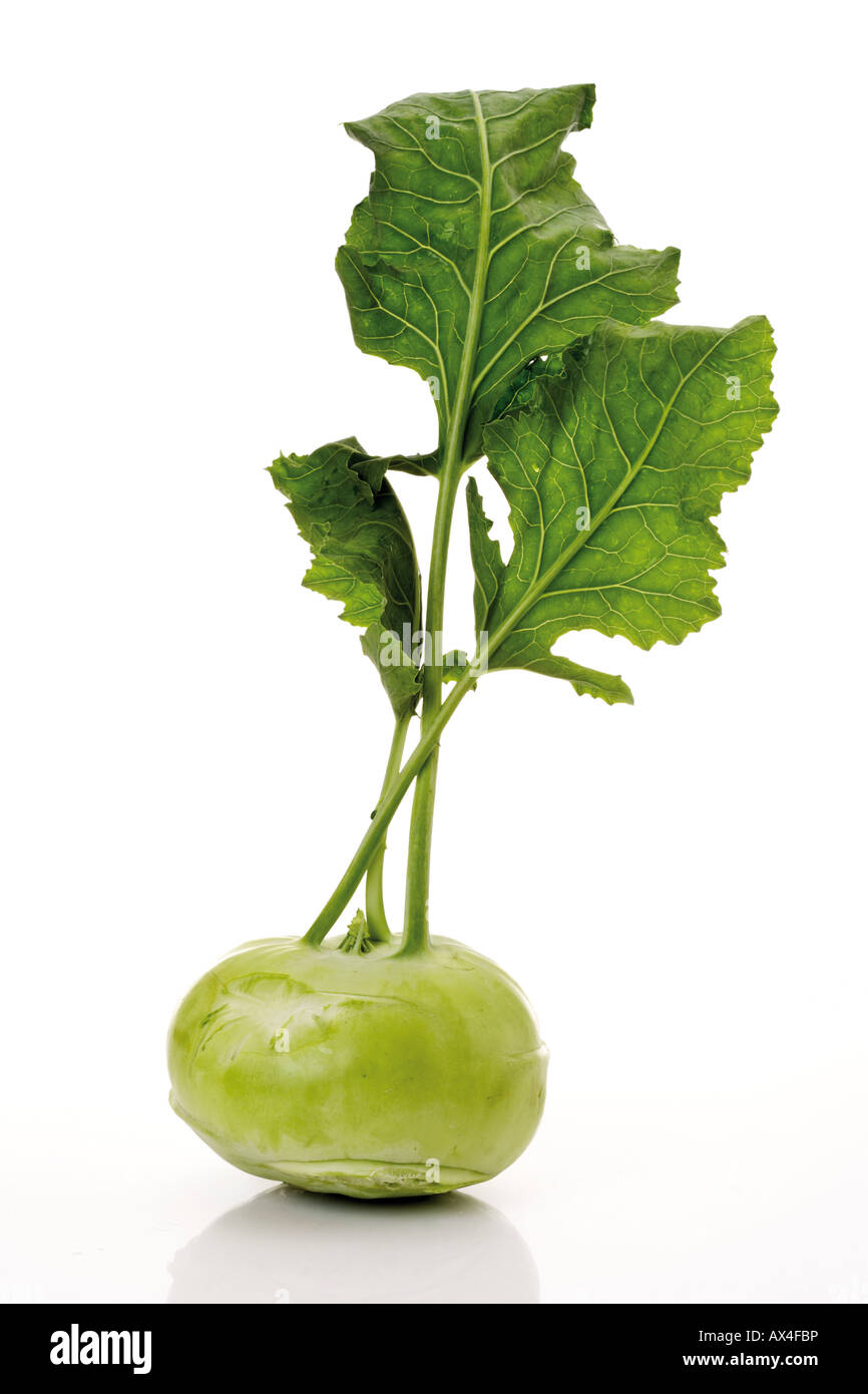 Tuberi di cavolo rapa immagini e fotografie stock ad alta risoluzione ...