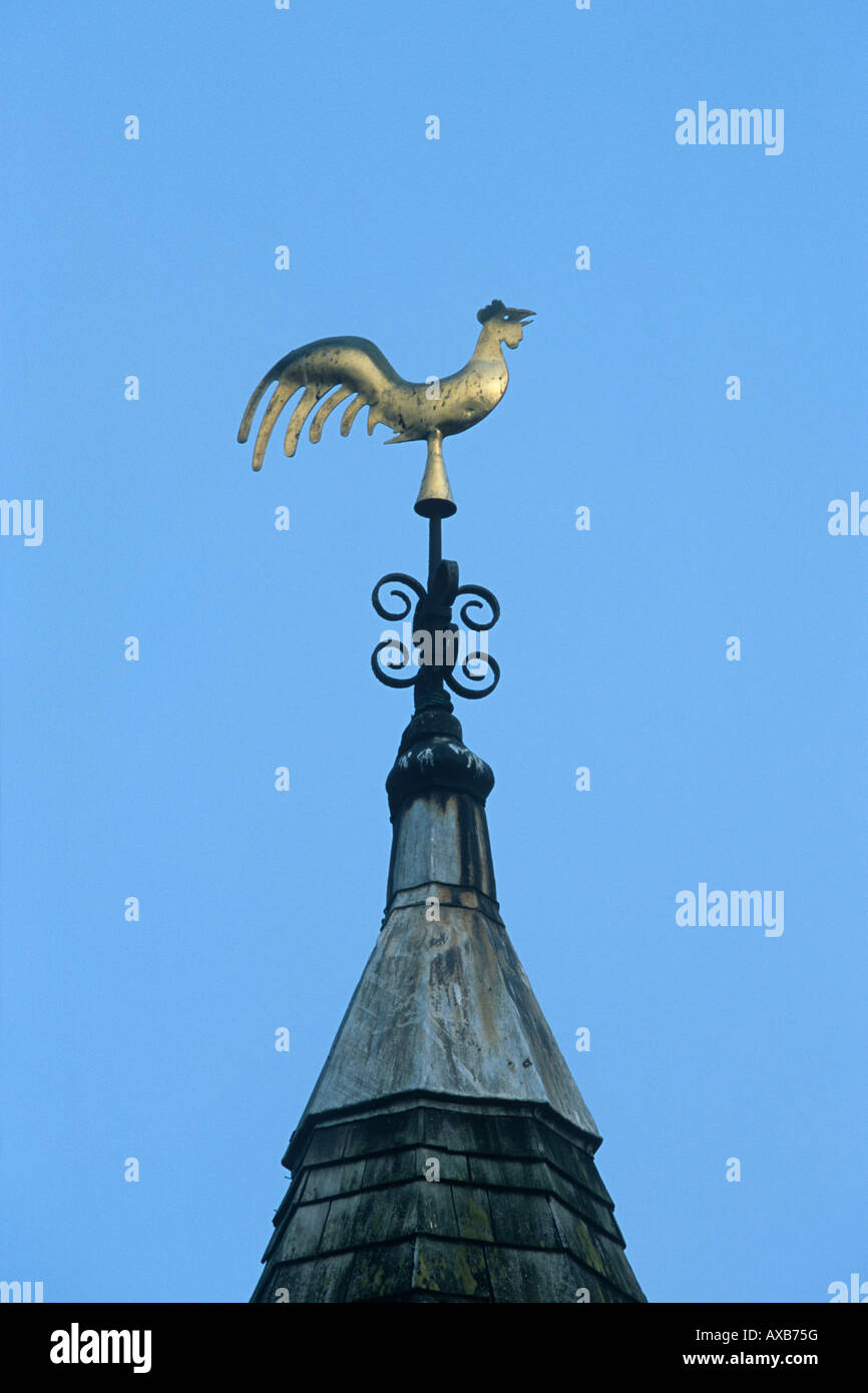 Banderuola del galletto immagini e fotografie stock ad alta risoluzione ...