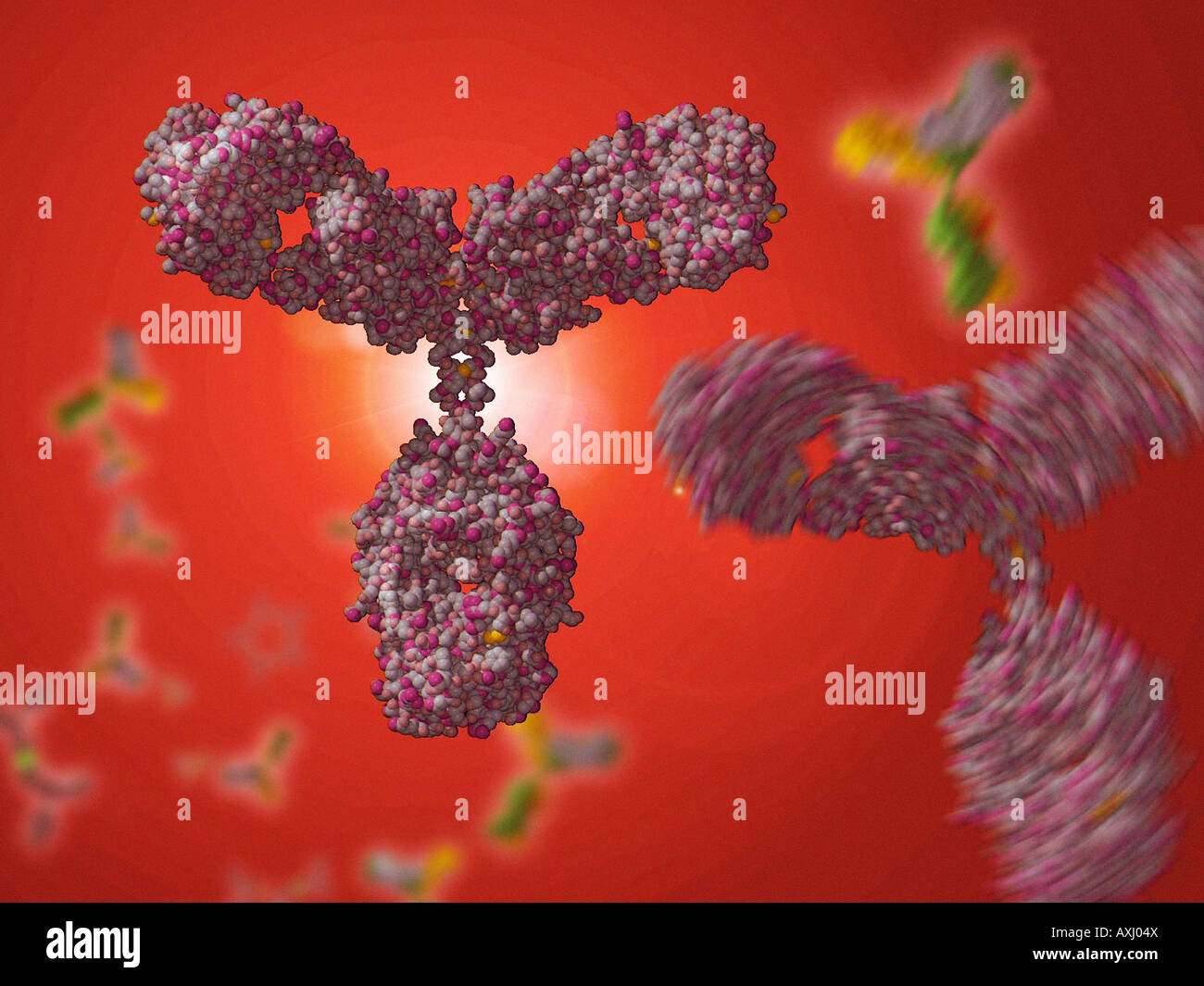 Reazione del sistema immunitario immagini e fotografie stock ad alta ...