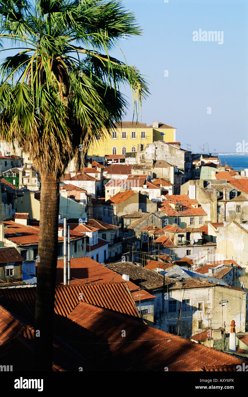 A sud del fiume tago immagini e fotografie stock ad alta risoluzione ...