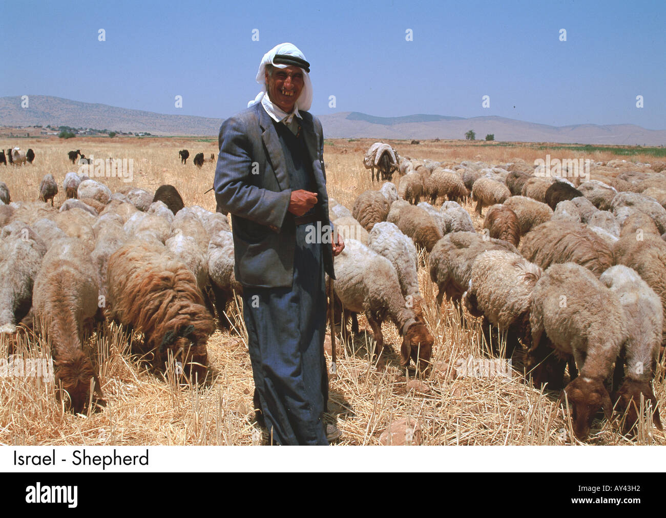 Pastore di Israele Foto stock - Alamy
