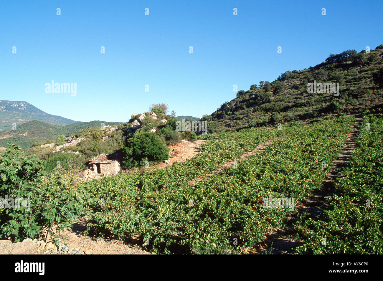 Les corbieres immagini e fotografie stock ad alta risoluzione - Alamy