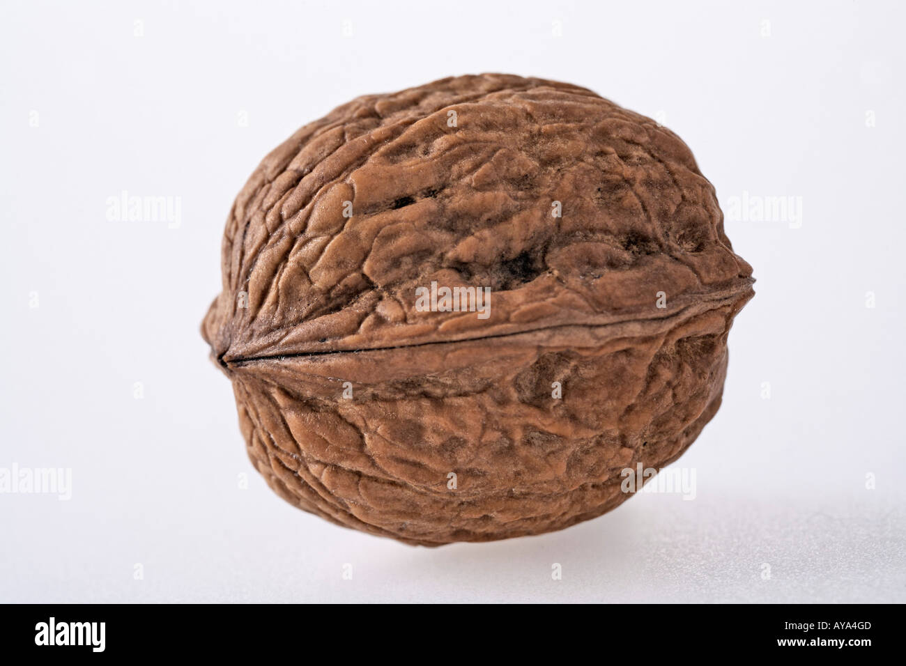 Noce e noce mallo di noce immagini e fotografie stock ad alta ...
