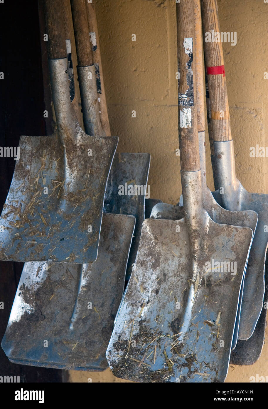 Sei di picche immagini e fotografie stock ad alta risoluzione - Alamy