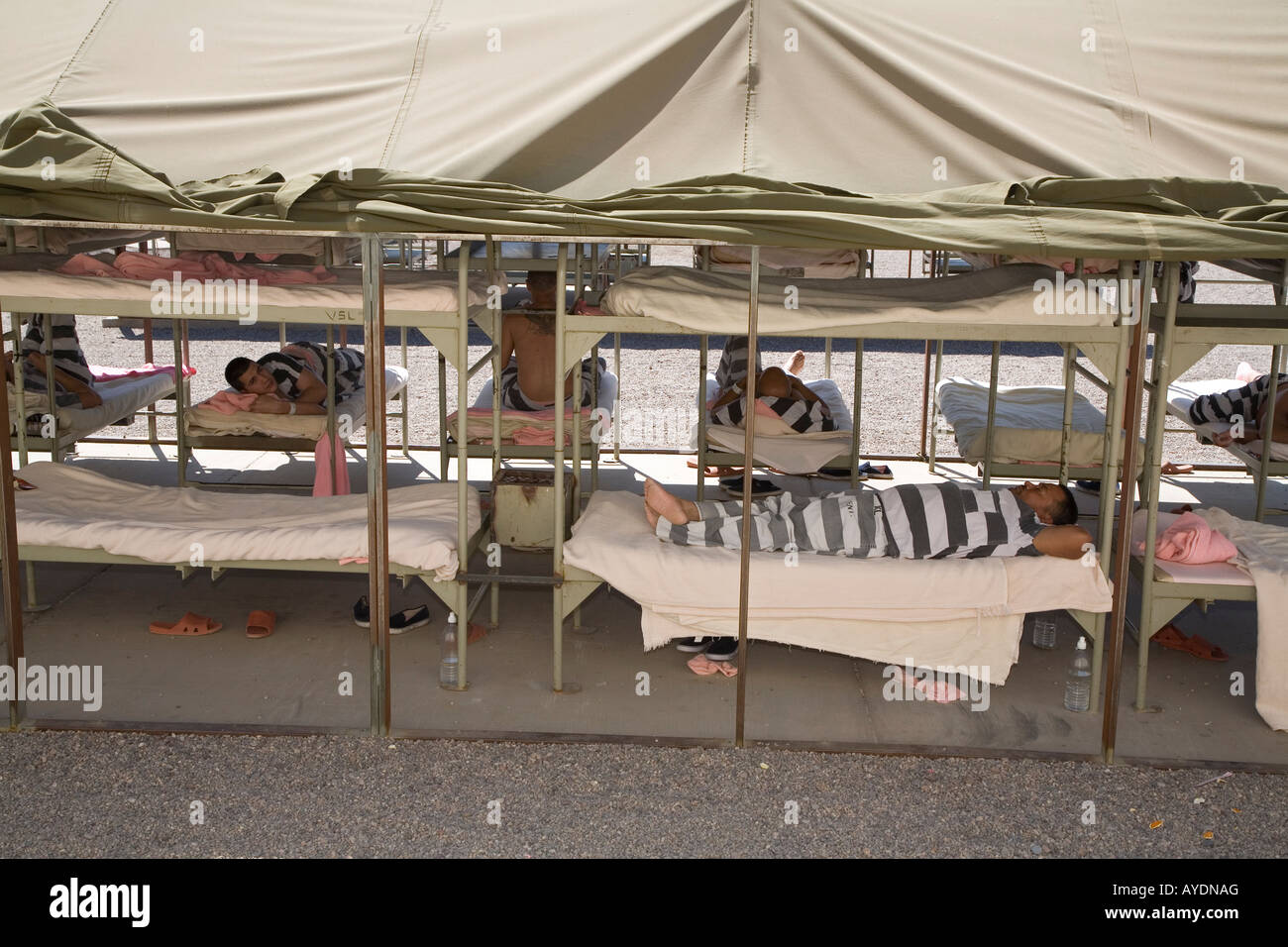 Maricopa county jail phoenix immagini e fotografie stock ad alta ...