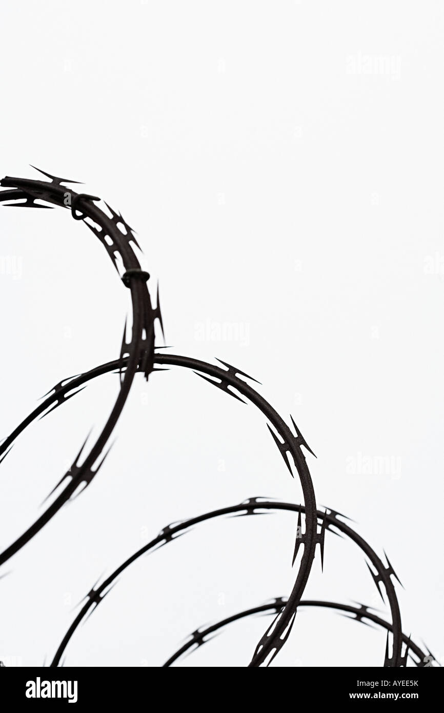 Tecniche del filo spinato immagini e fotografie stock ad alta ...