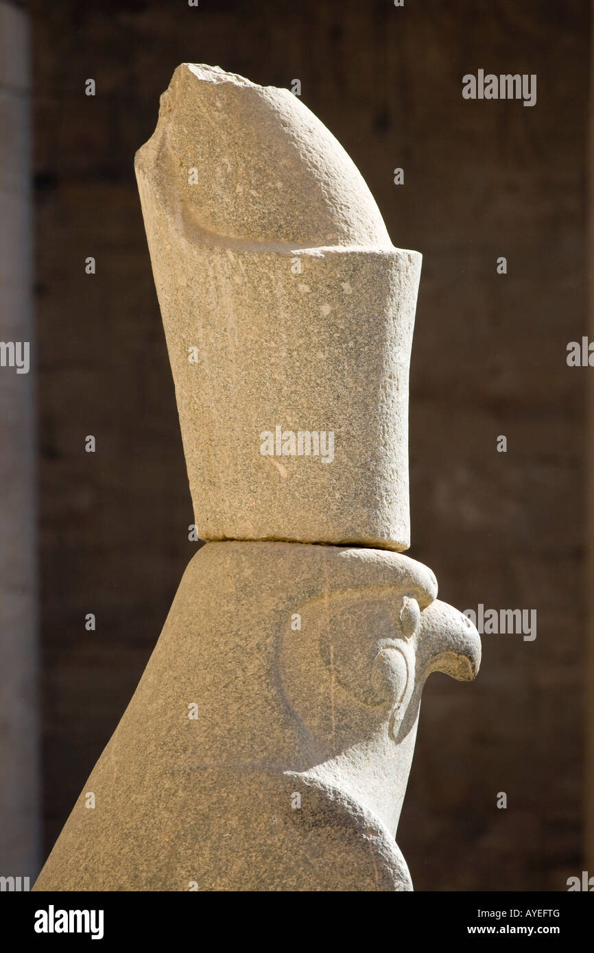 Falcon statua del dio Hoarus corte grande Tempio di Horus Edfu Luxor ...