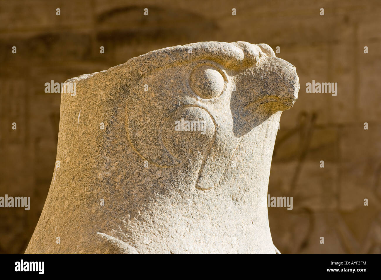 Falcon statua del dio Horus primo pilone Tempio di Horus Edfu Luxor ...