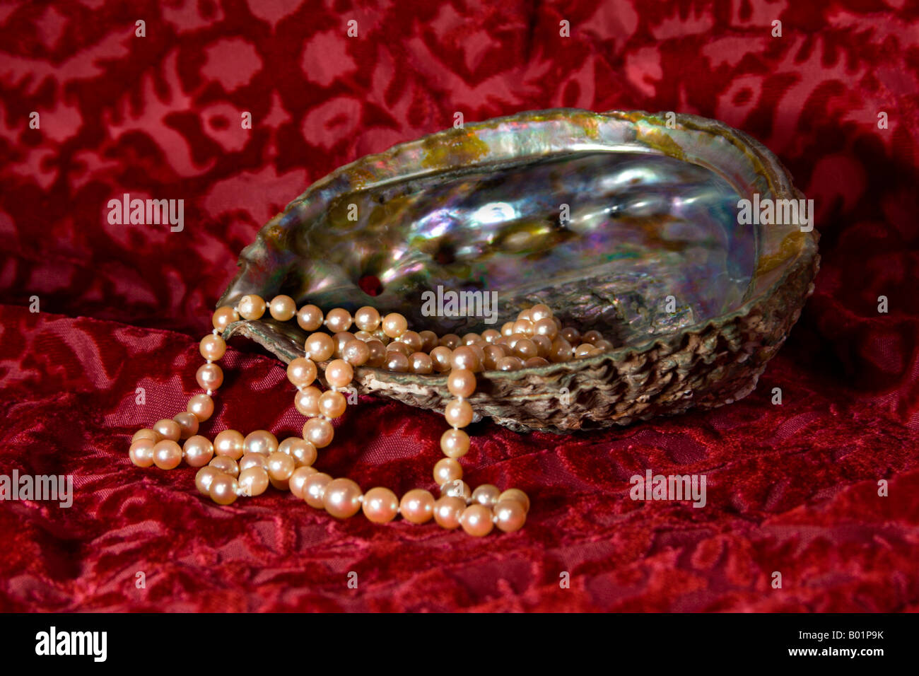 Mother of pearls immagini e fotografie stock ad alta risoluzione - Alamy