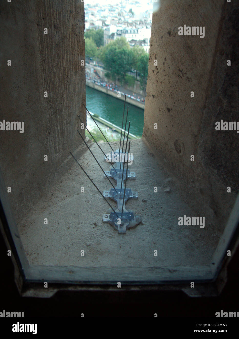 Metodi di controllo degli uccelli non letali immagini e fotografie ...