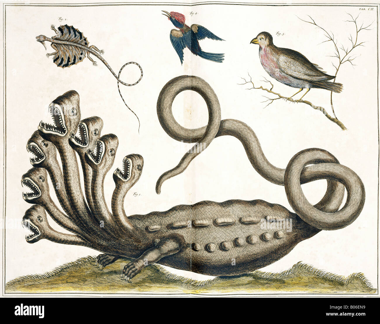 Hydra mythology immagini e fotografie stock ad alta risoluzione - Alamy
