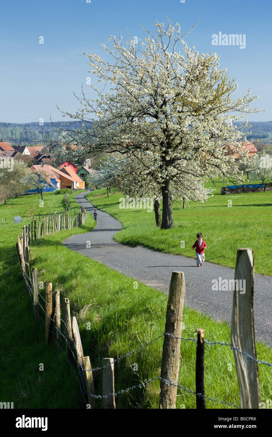 Strade secondarie campagna immagini e fotografie stock ad alta ...