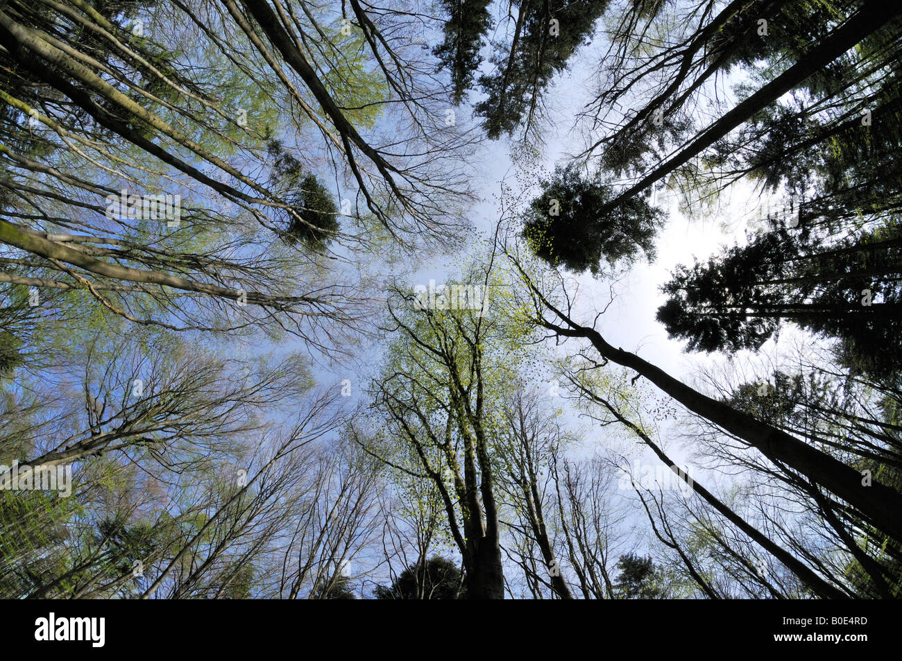 Clima dell'habitat immagini e fotografie stock ad alta risoluzione - Alamy