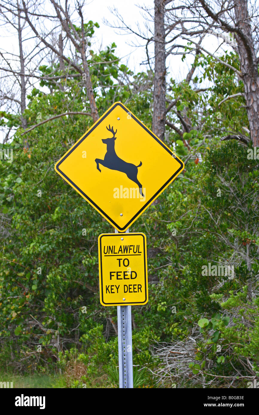Cartello stradale dei cervi immagini e fotografie stock ad alta ...