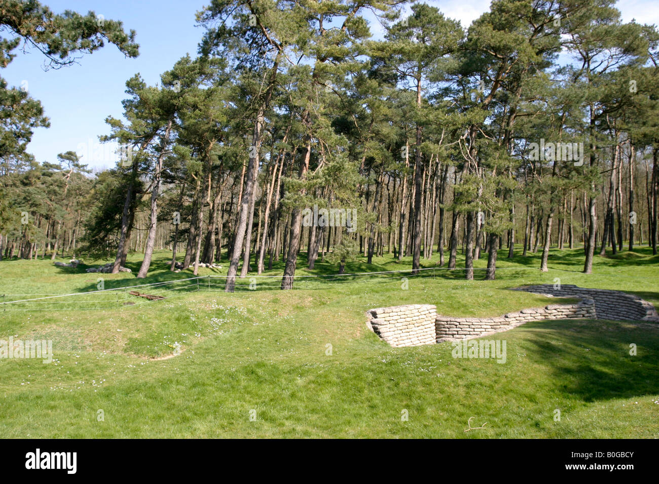 Trincee prima guerra mondiale immagini e fotografie stock ad alta ...