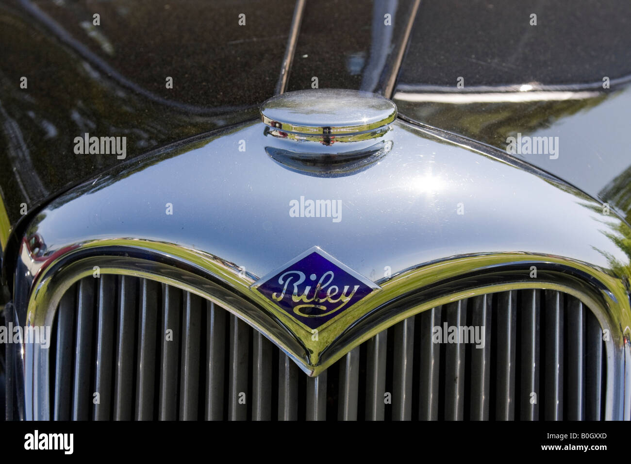 Emblema di riley immagini e fotografie stock ad alta risoluzione - Alamy