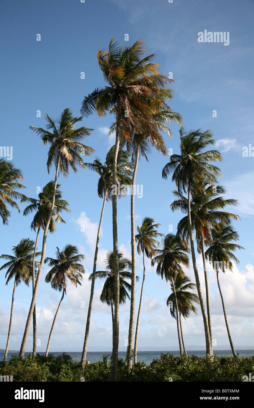 Spiaggia playa anadel immagini e fotografie stock ad alta risoluzione ...