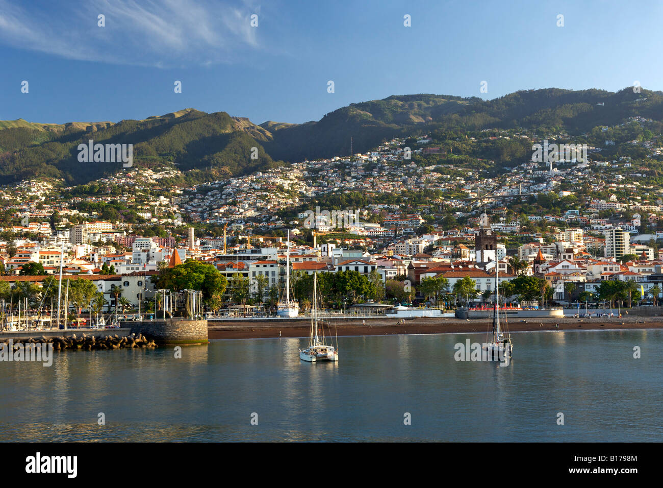 Isola di madeira immagini e fotografie stock ad alta risoluzione - Alamy