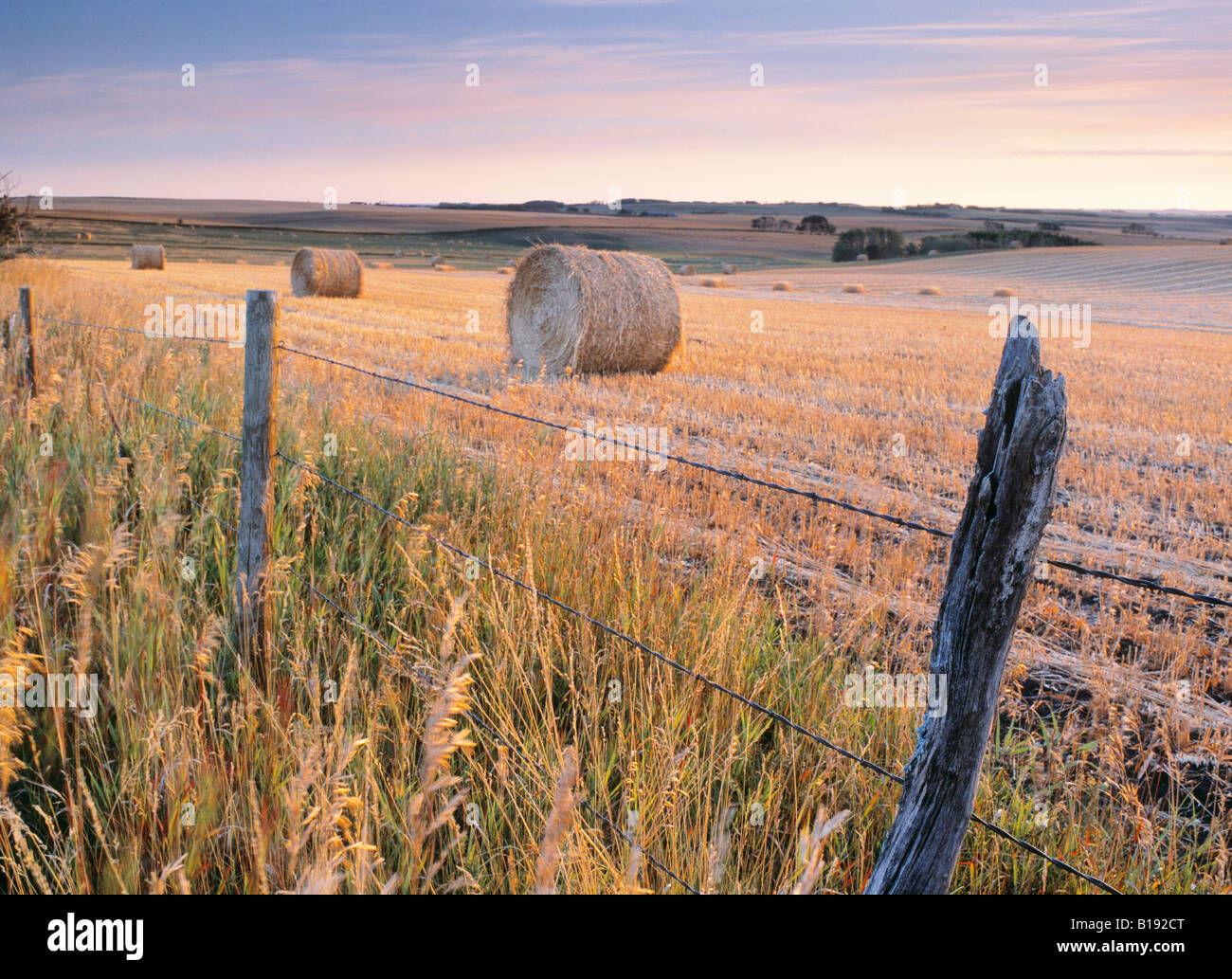 Provincia di cremona immagini e fotografie stock ad alta risoluzione ...