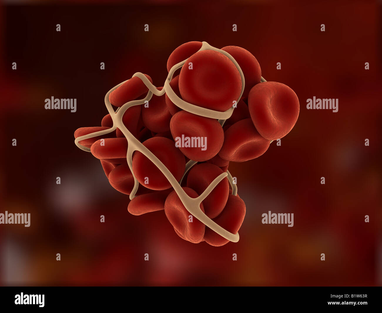 Coagulo di sangue umano immagini e fotografie stock ad alta risoluzione ...