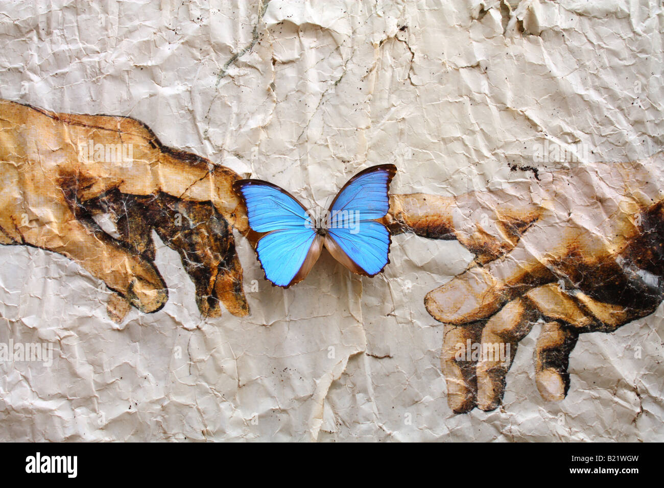 La creazione di adamo di michelangelo immagini e fotografie stock ad ...