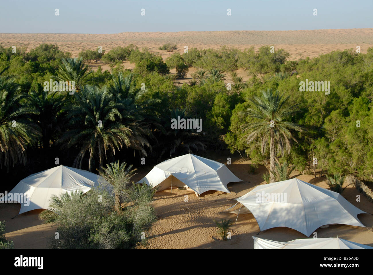 PanSea Ksar Ghilane Campment, oasi, Sahara, Tunisia, Africa Foto stock ...