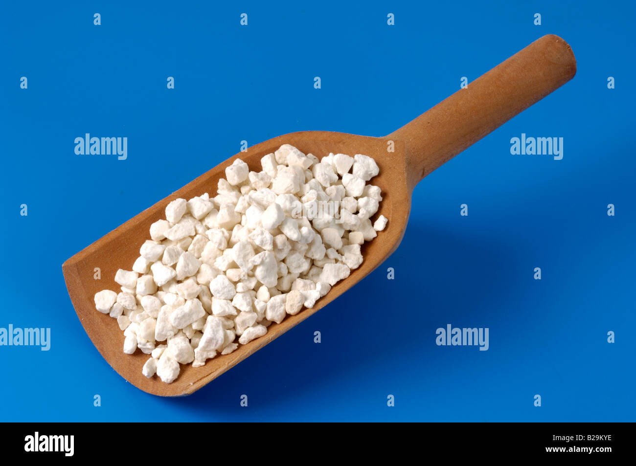 Fu ling immagini e fotografie stock ad alta risoluzione - Alamy