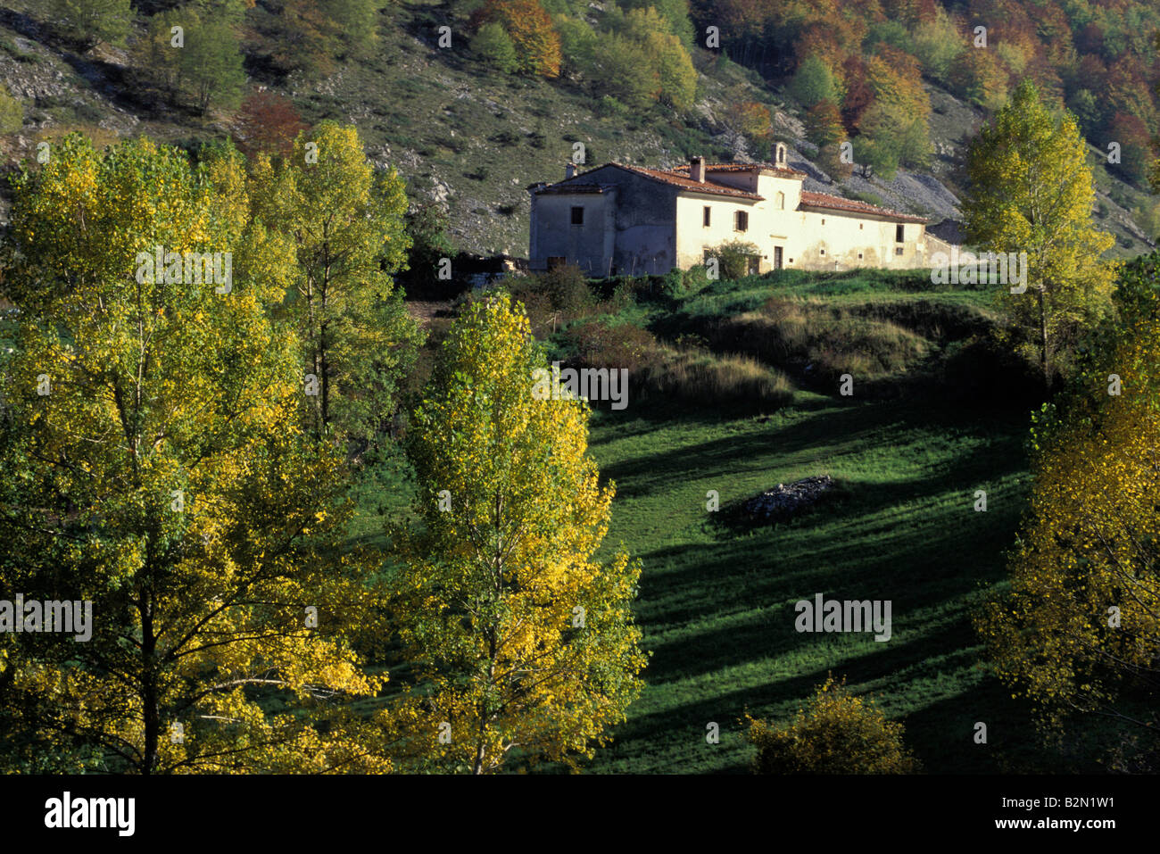Scanno aquila immagini e fotografie stock ad alta risoluzione - Alamy
