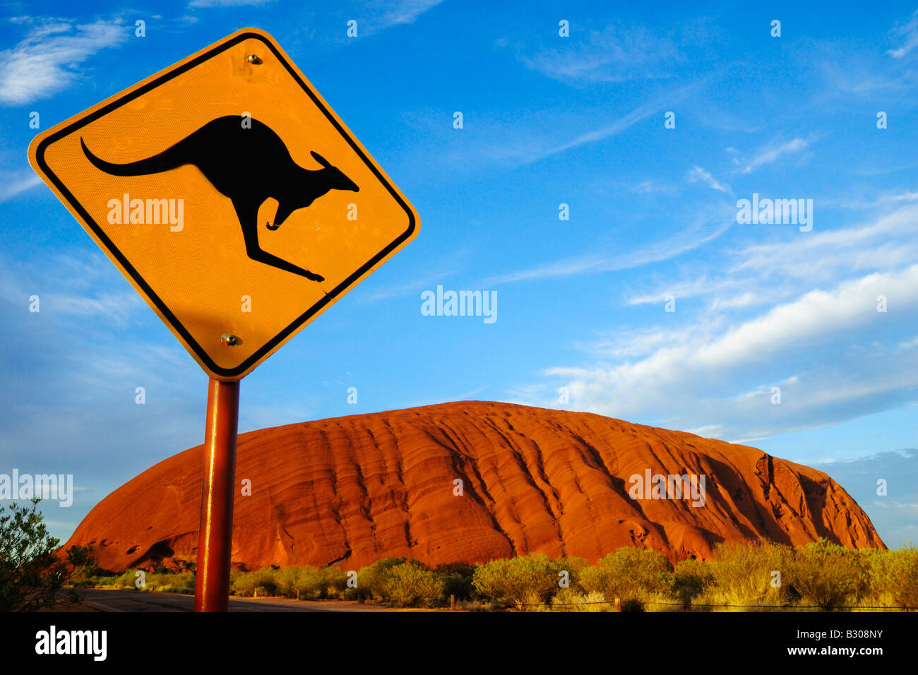 Icona di canguro immagini e fotografie stock ad alta risoluzione - Alamy