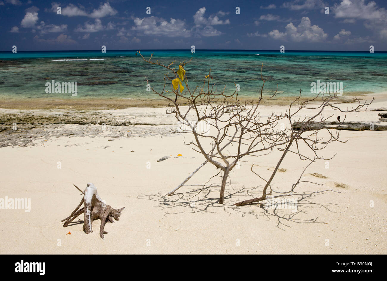 Spiaggia e la laguna di Bikini Isole Marshall Bikini Atoll Micronesia ...